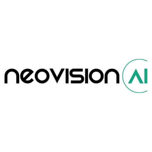 Neovision - Minalogic